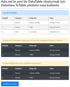 DataView’dan DataTable Oluşturma – Tasarım Kodlama
