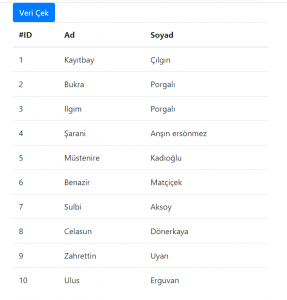 JavaScript ile JSON Veri Çekmek – Tasarım Kodlama