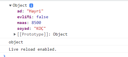 JavaScript Değişken Tanımlama ve Veri Tipleri – Tasarım Kodlama