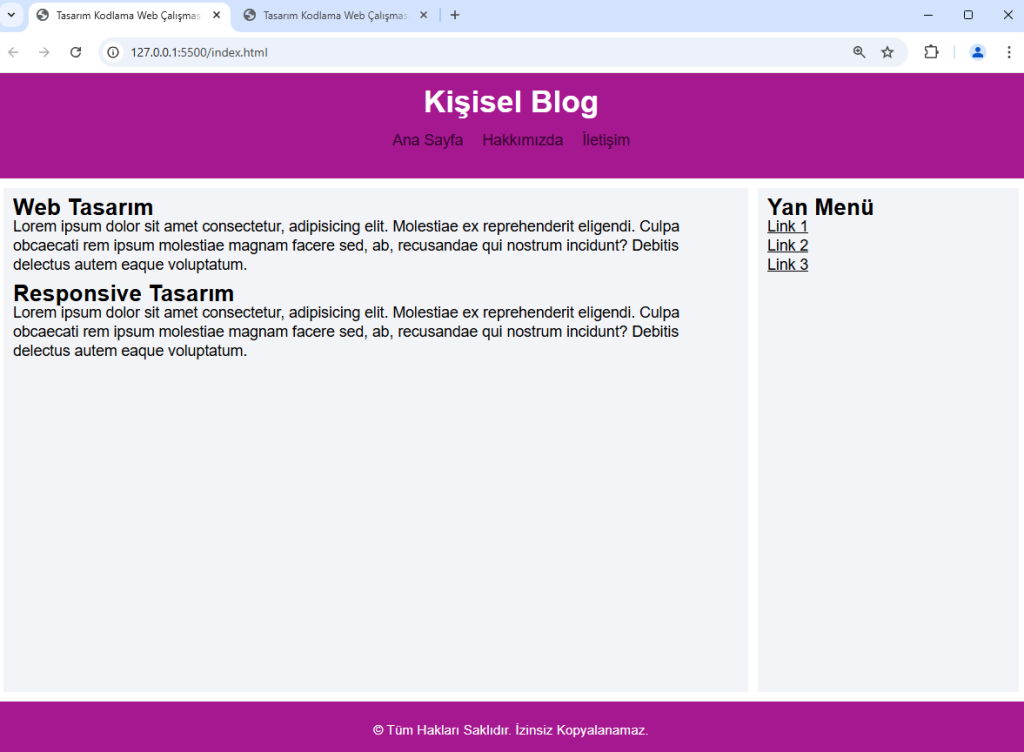 CSS Flex ile Basit Sayfa Tasarımı – Tasarım Kodlama